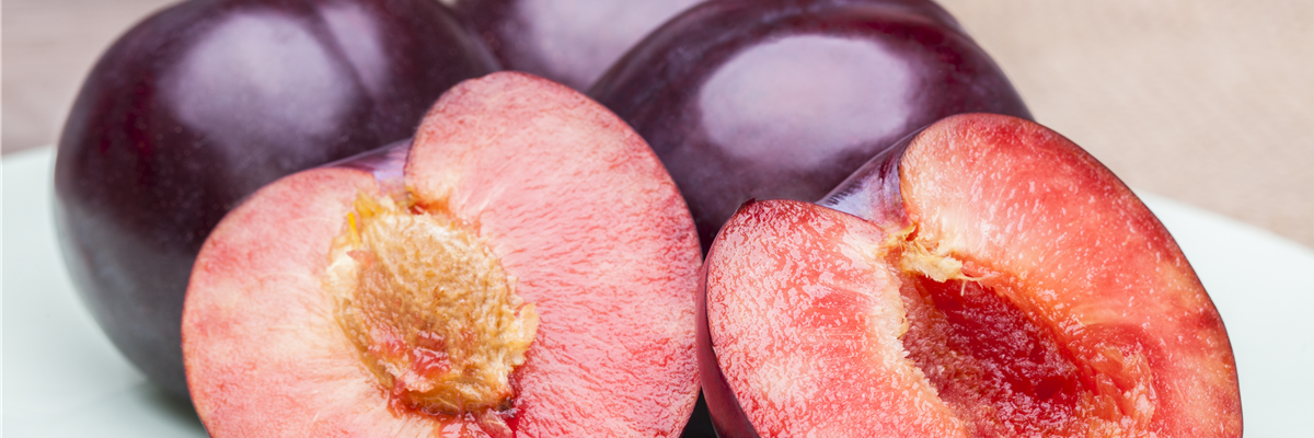 ROTES OBST & GEMüSE! - Gartenfachmarkt Richter